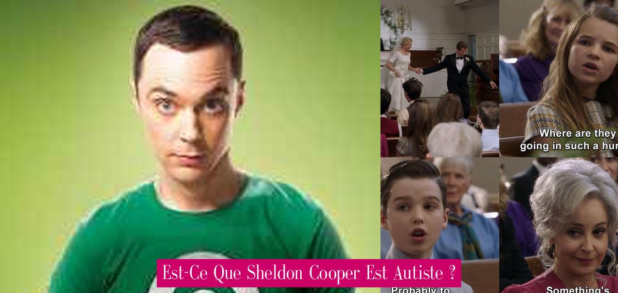 Est-Ce Que Sheldon Cooper Est Autiste ? - Revue Stars — Nouvelles ...