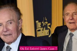 Est-Ce Que Thomas Sabatier Est Le Fils De Patrick Sabatier ? - Revue ...