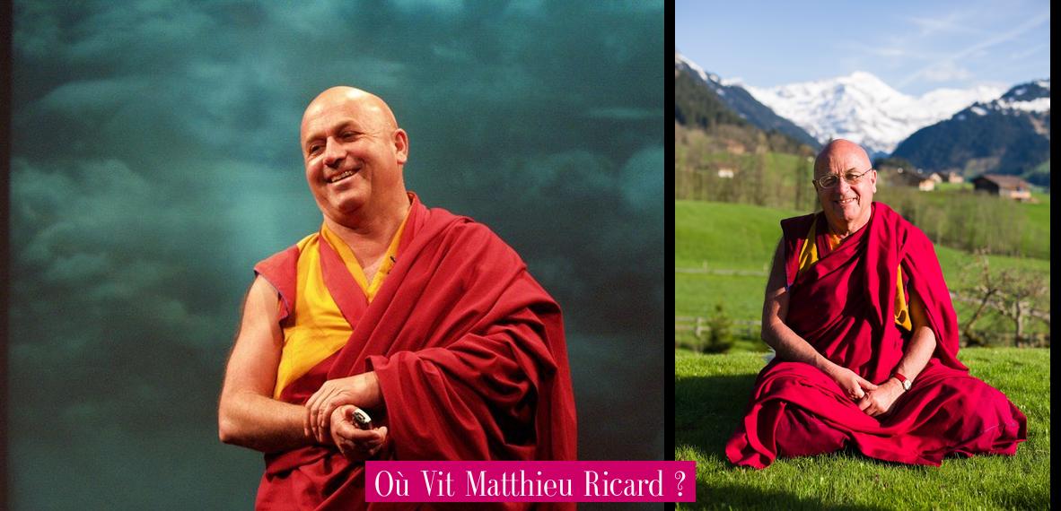 Où Vit Matthieu Ricard ? - Revue Stars — Nouvelles, exclusivités ...
