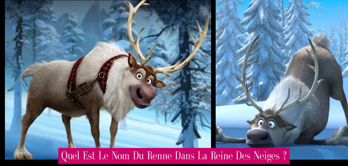 Quel Est Le Nom Du Renne Dans La Reine Des Neiges ? - Revue Stars ...