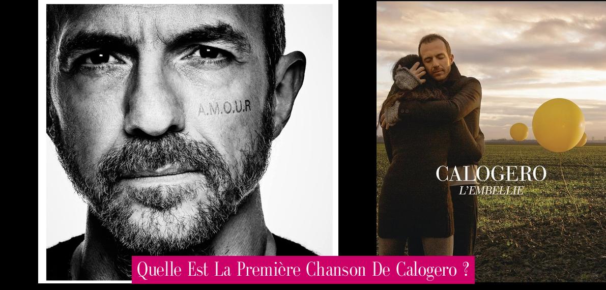 Quelle Est La Première Chanson De Calogero ? - Revue Stars — Nouvelles ...