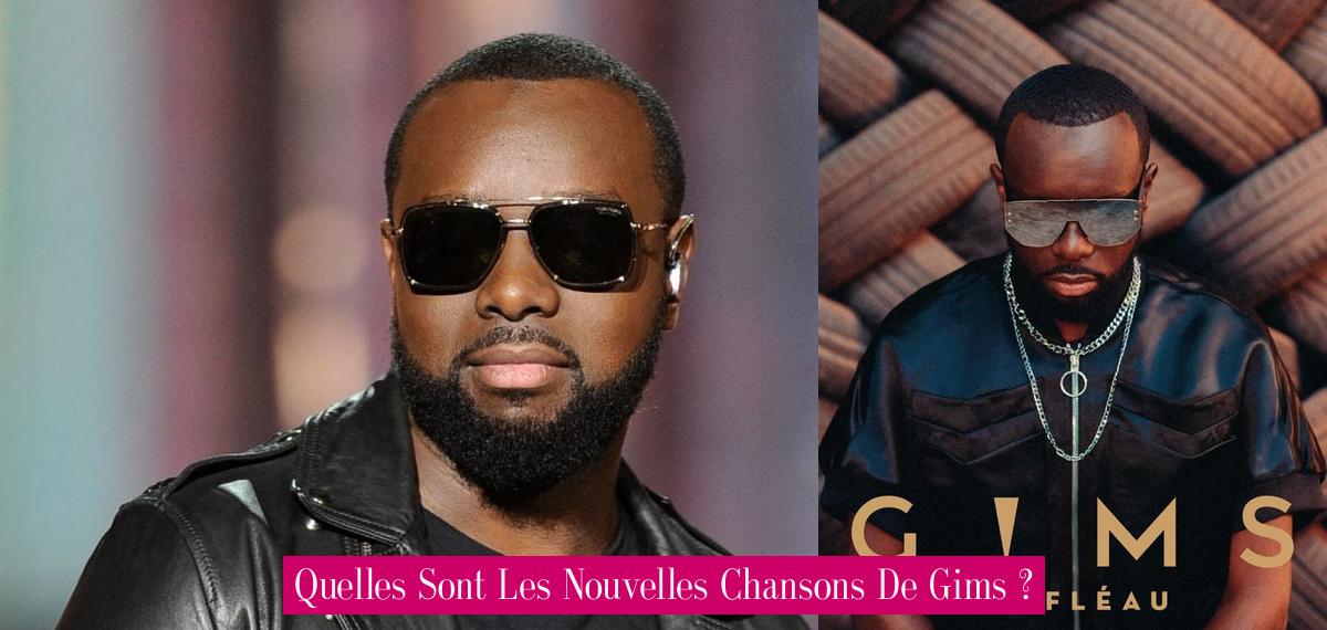 Quelles Sont Les Nouvelles Chansons De Gims ? - Revue Stars — Nouvelles ...