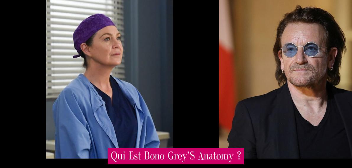 Qui Est Bono Grey'S Anatomy ? - Revue Stars — Nouvelles, exclusivités ...