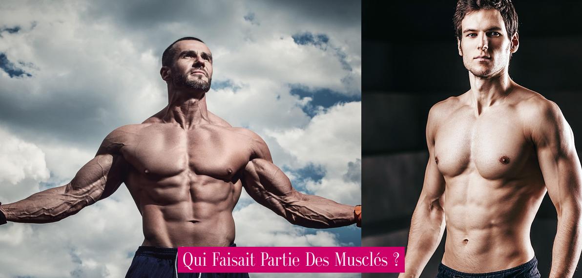 Qui Faisait Partie Des Musclés ? - Revue Stars — Nouvelles ...