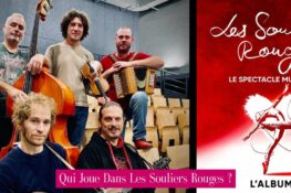 Quelle Différence D'Âge Avait Céline Dion Avec Son Mari René ? - Revue ...