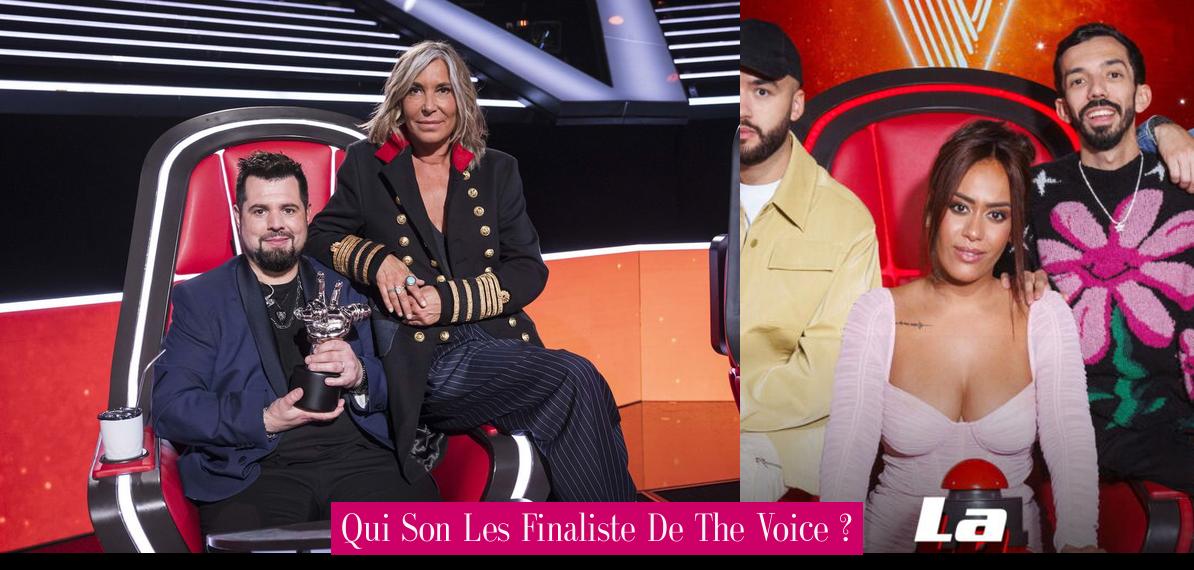 Qui Son Les Finaliste De The Voice ? - Revue Stars — Nouvelles ...